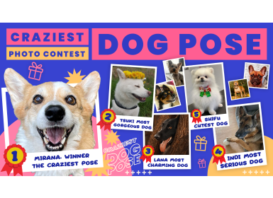 SRUKR Organized Dogs Best Photo Contest | Samsung Research